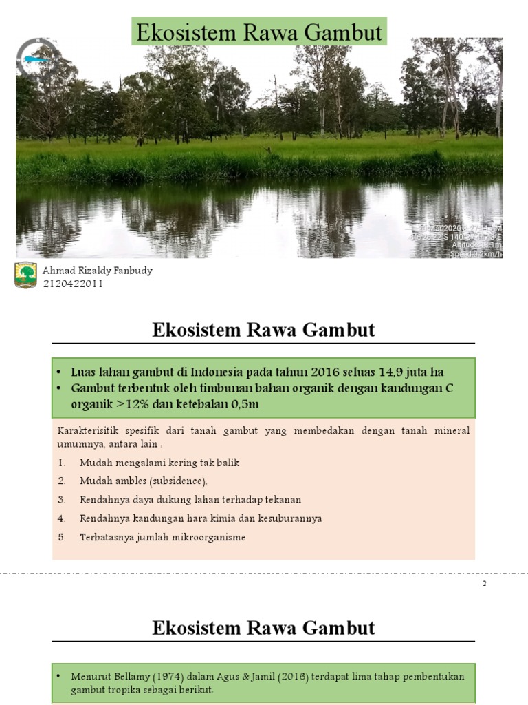 Ekosistem Rawa Gambut - Ahmad Rizaldy Fanbudy - 2120422011 | PDF