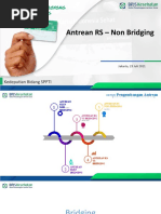 167 - Mekanisme Bridging Antrean Online V2 | PDF | Pengelolaan Keuangan & Uang