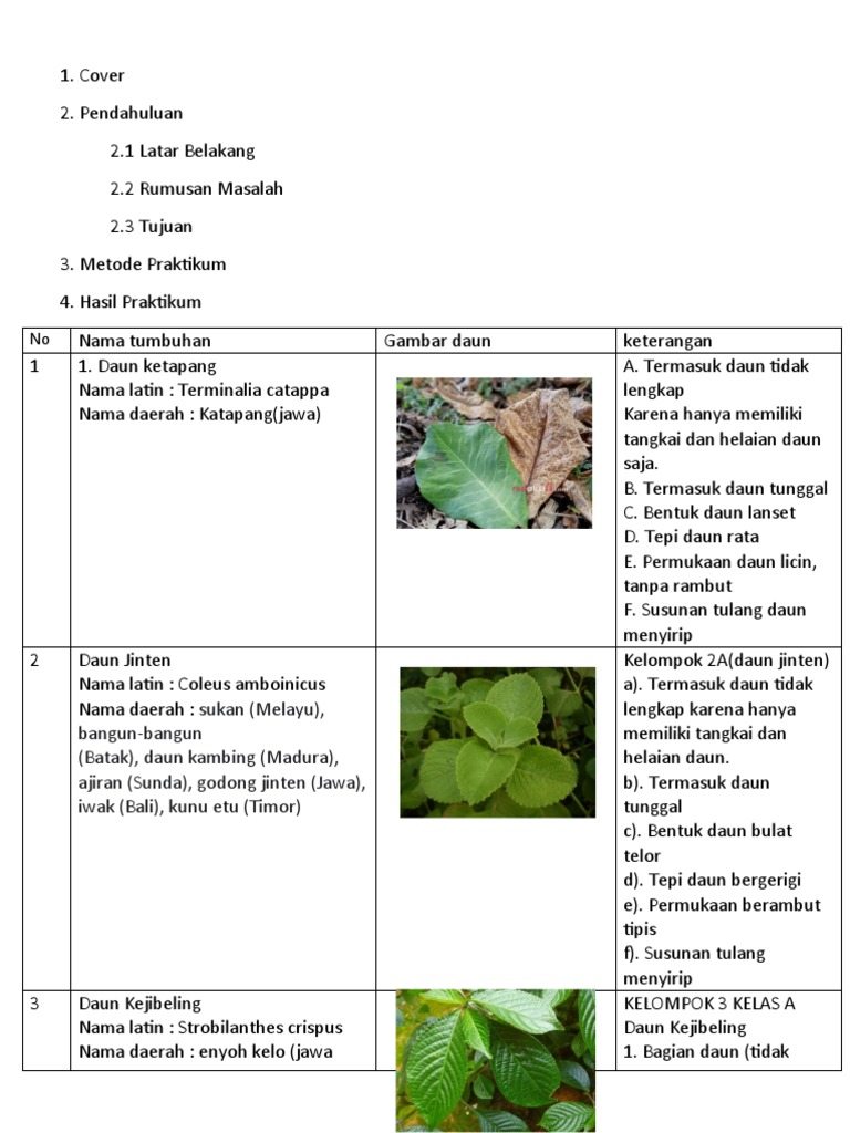 Laporan Praktikum Morfistum (Daun) | PDF