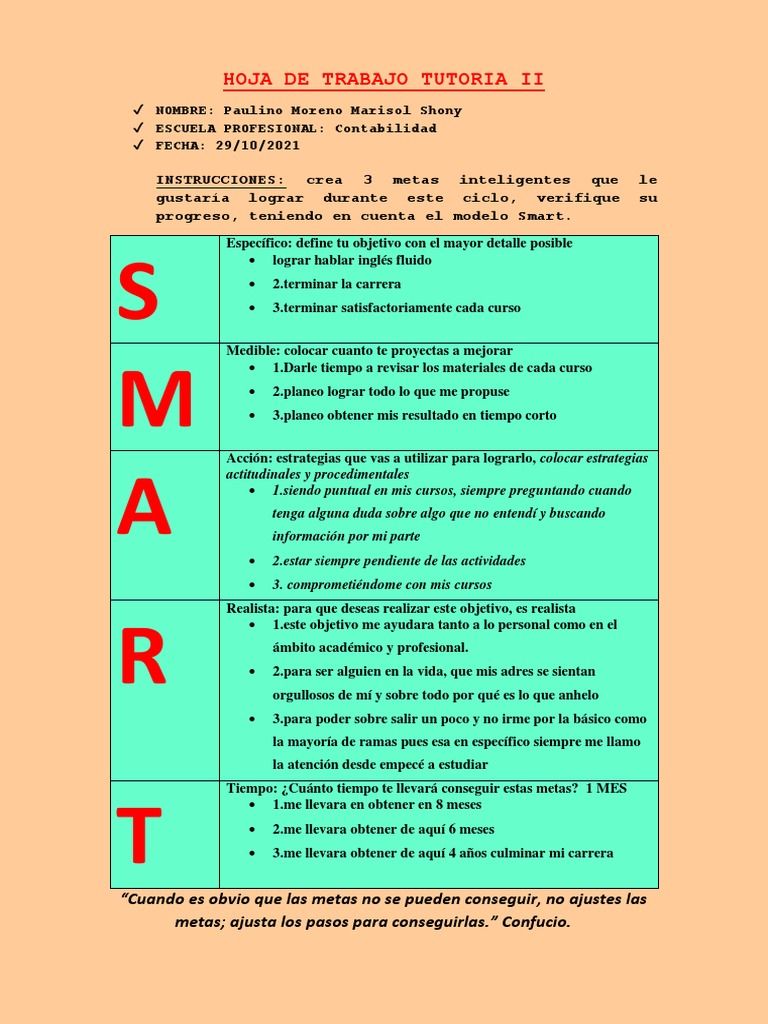 Formato de Metas | PDF