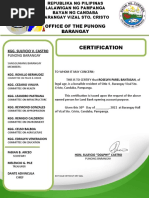 Badac Clearance | PDF