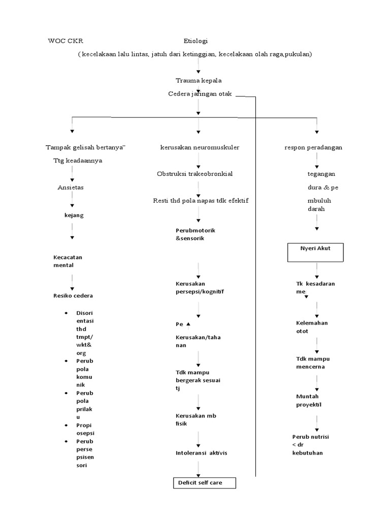 Woc CKR | PDF