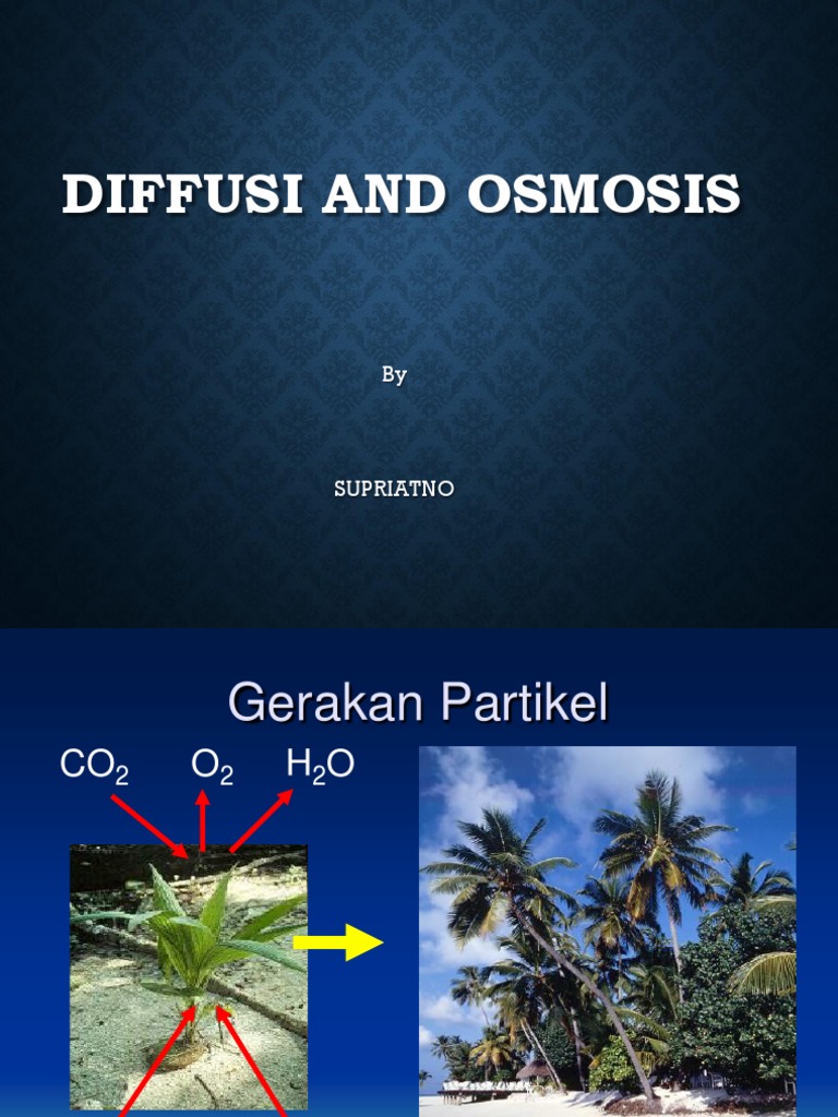 Pertemuan 2 (Difusi Dan Osmosis) | PDF