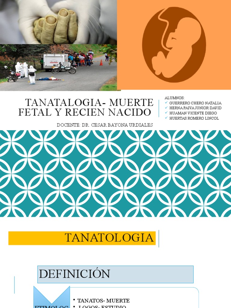 Análisis de la tanatología y sus principales áreas de estudio | PDF ...