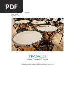 Instrumentos Musicales de Puerto Rico | PDF