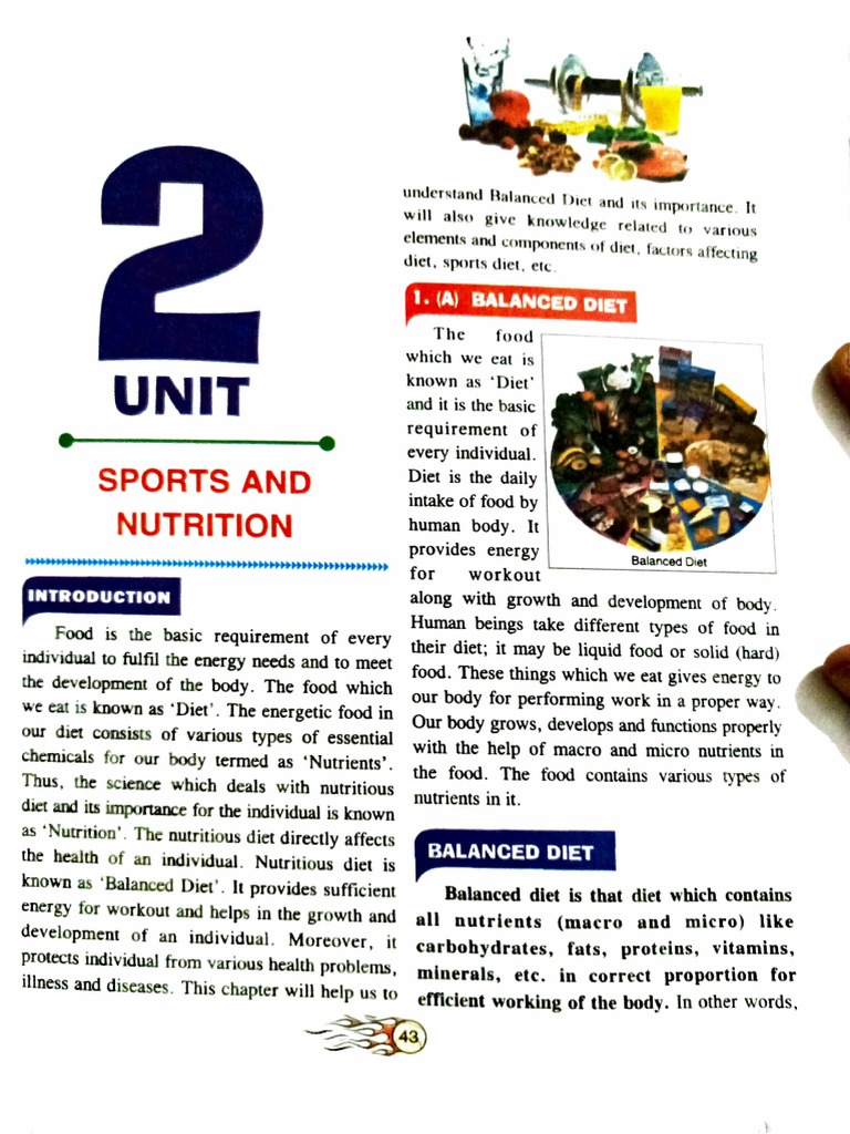 CH 2 Sports and Nutrition Physical Education Class 12 | PDF | Nutrients ...