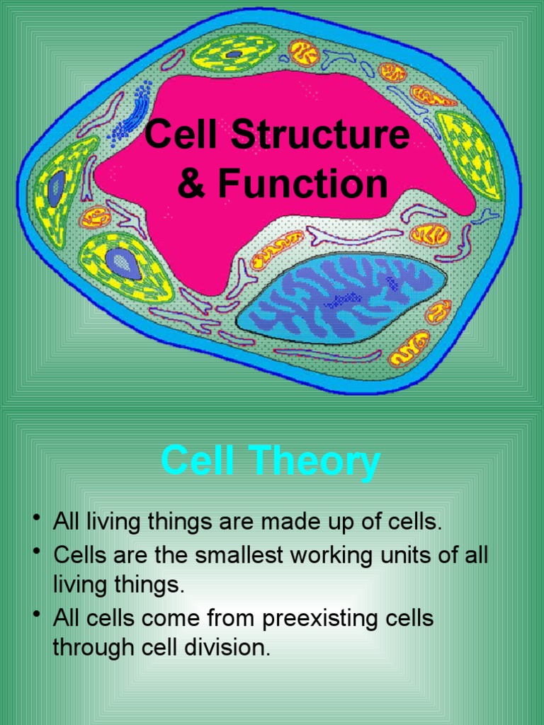 Cell - Structure - Function Chapter 2 | PDF | Cell (Biology) | Prokaryote