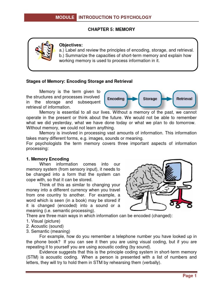 Chapter 5: Memory: Introduction To Psychology | PDF | Memory | Recall ...