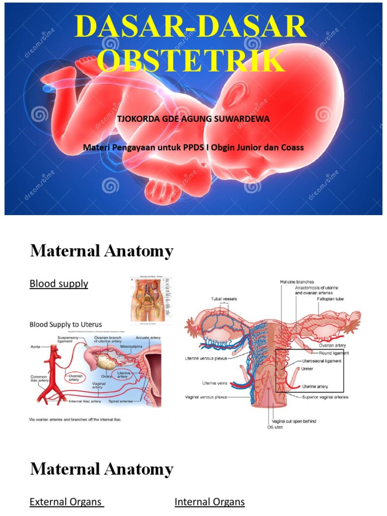 Dasar-Dasar Obstetrik: Tjokorda Gde Agung Suwardewa | PDF | Pelvis ...