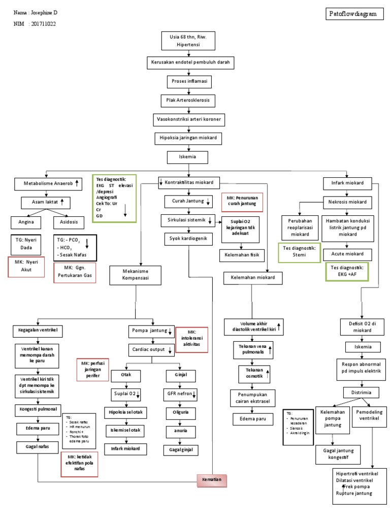 Patoflowdiagram | PDF