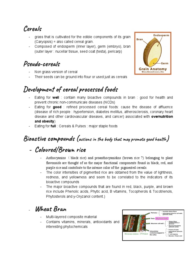 Cereals - Agricultural and Food Biotechnology | PDF | Whole Grain ...