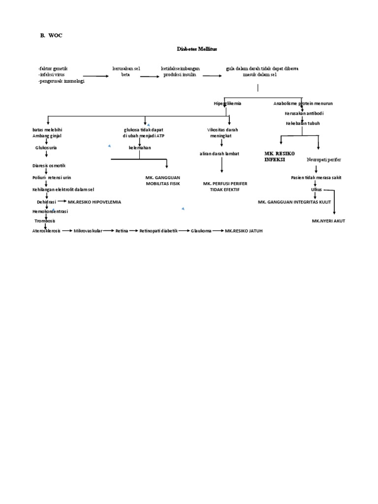 Pathway Ulkus Diabetikum dan Risiko | PDF