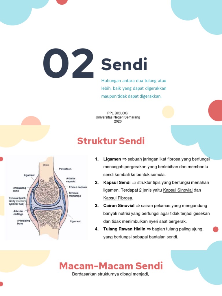 Sendi | PDF