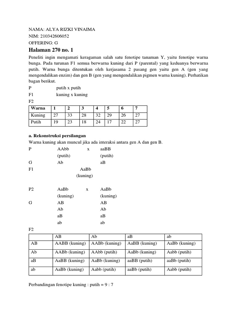 Tugas 13 - Alya Rizki Vinaima G21 | PDF