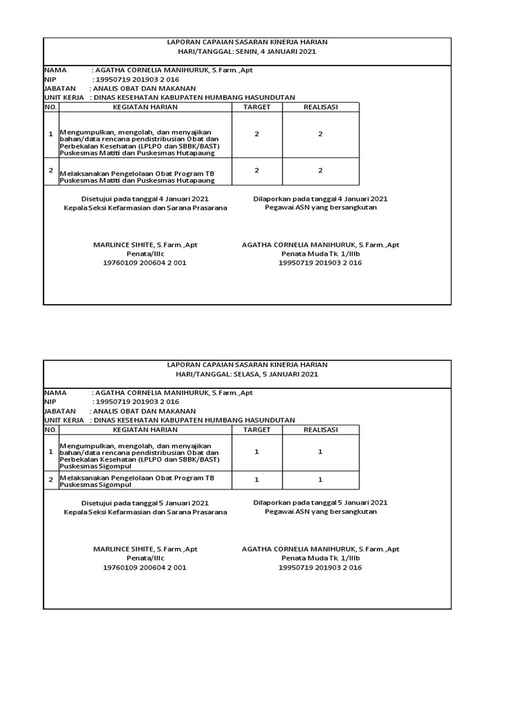 Format Laporan Harian Dan Bulanan TPP | PDF