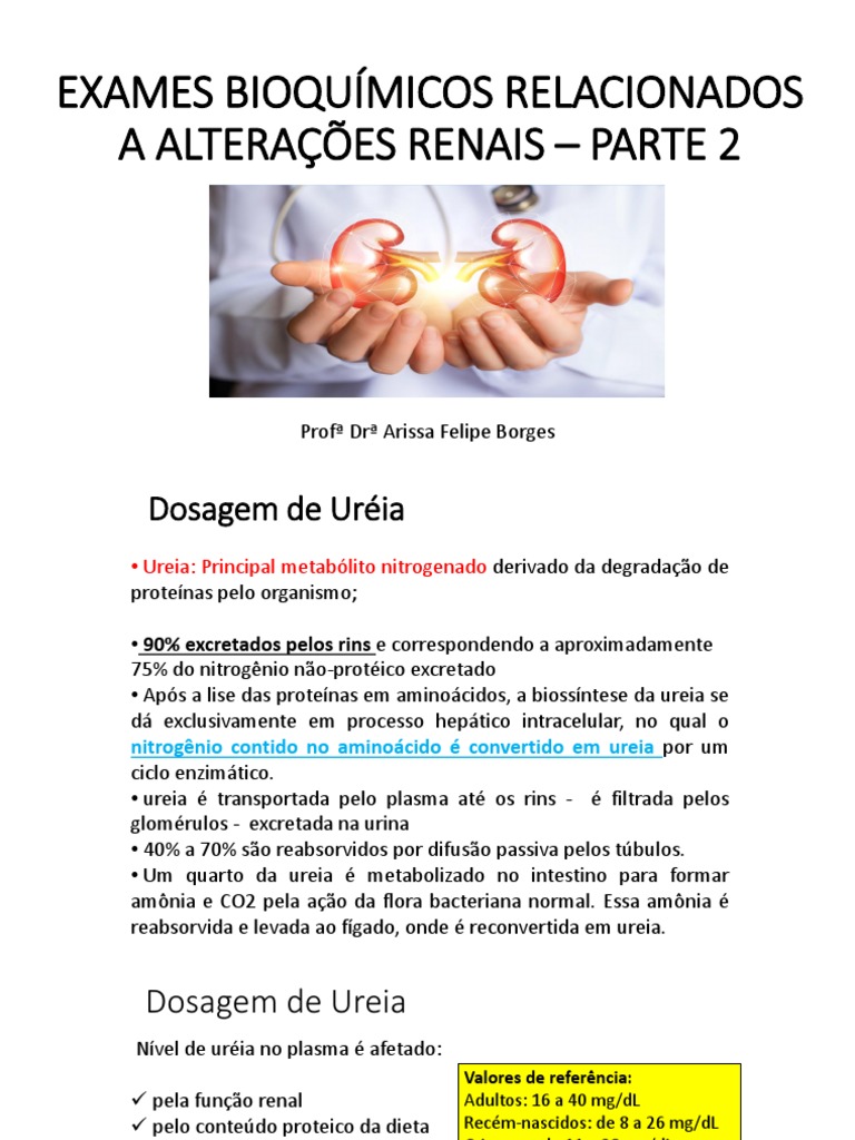 Aula 8. Exames Bioquímicos Relacionados Parte 2 | PDF | Creatinina | Rim