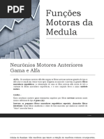 Exame Fisico Enfermagem Cefalo Caudal | PDF