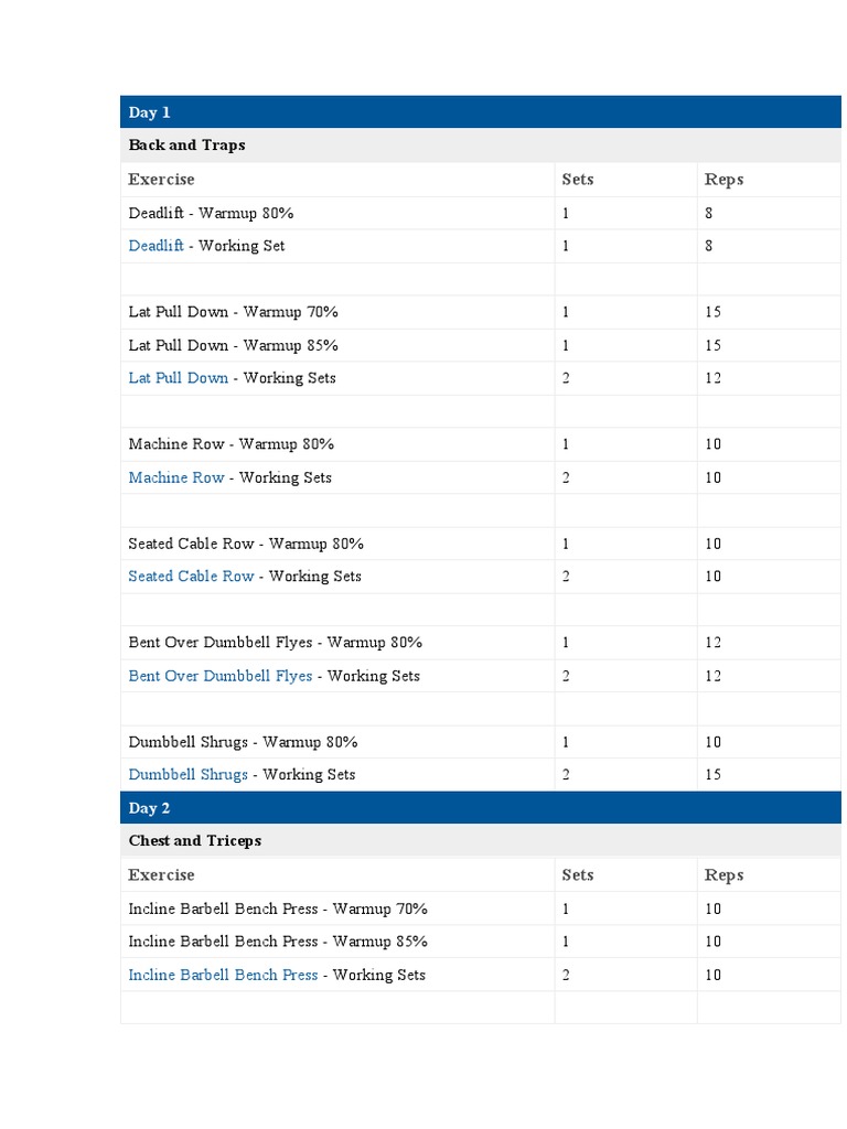 Old School Series 1990 Bodybuilding Routine | PDF | Athletic Sports ...