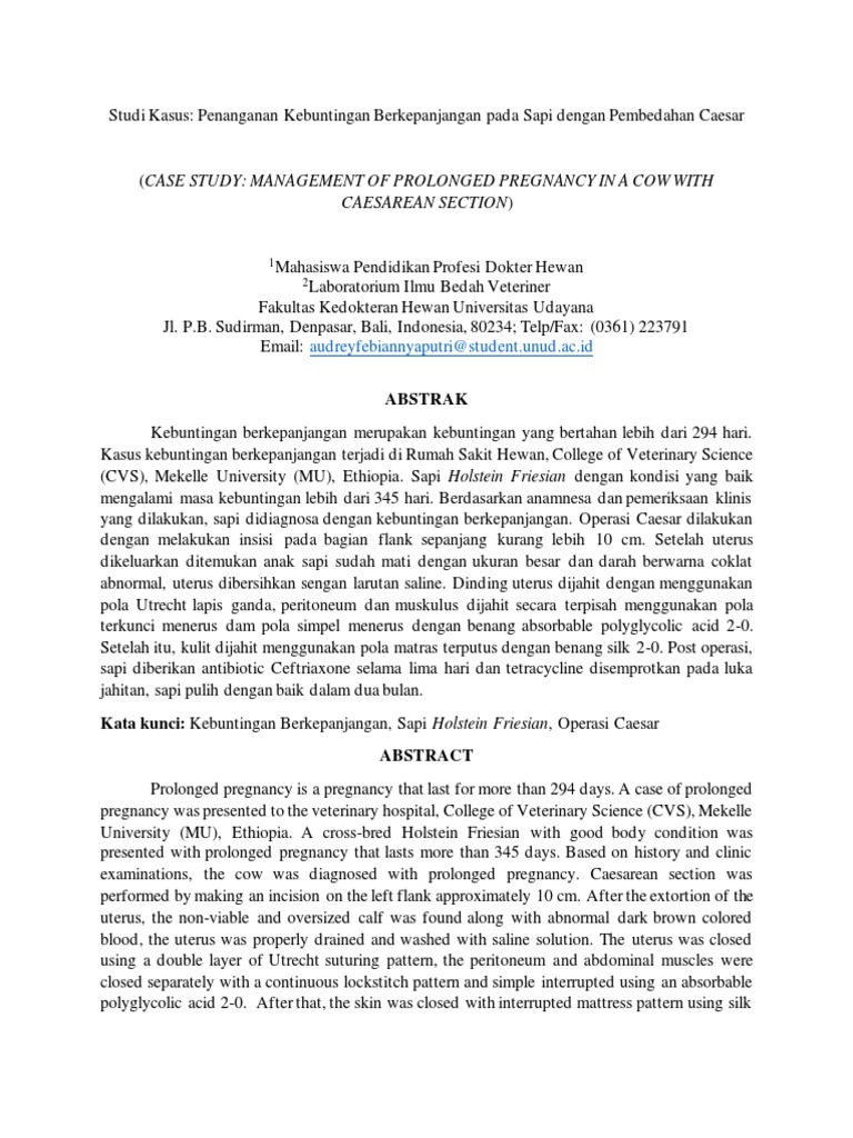 Operasi Caesar - Audrey | PDF