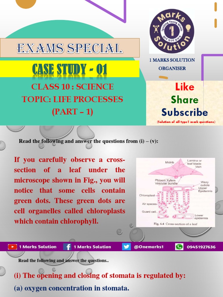 Class 10 Science Life Processes Solutions | PDF | Fermentation | Atrium ...