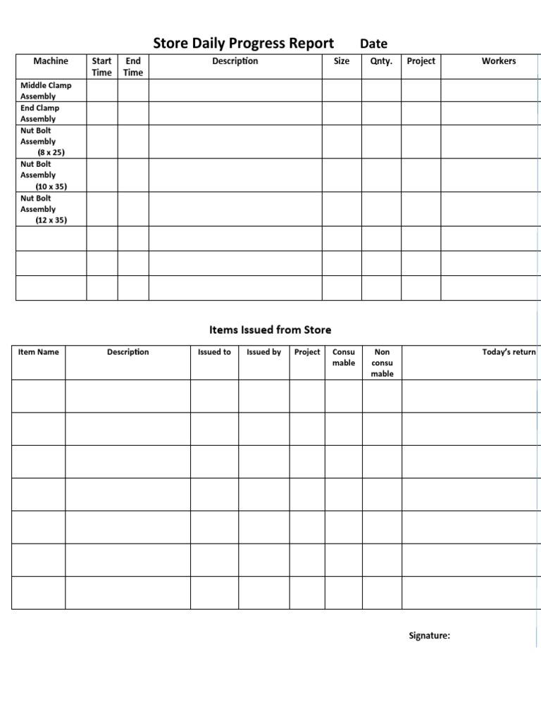 Workshop Daily Progress Report | PDF