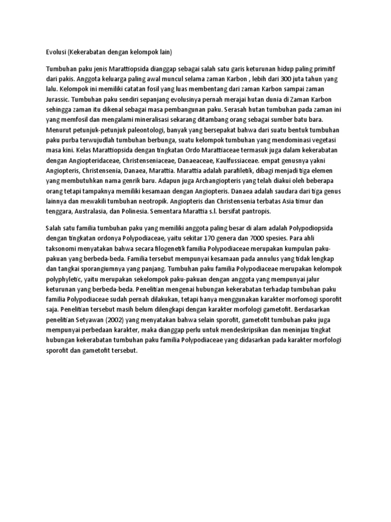 Marattiopsida Dan Polypodiopsida | PDF