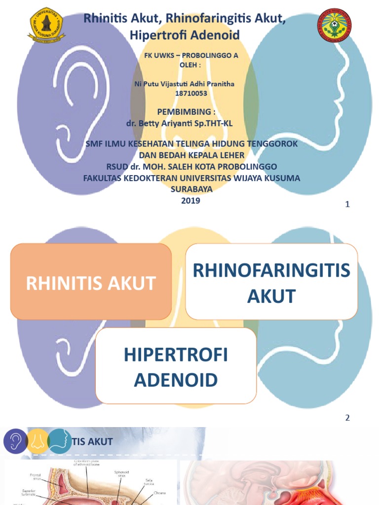 Rhinitis Akut, Rhinofaringitis Akut, Hipertrofi Adenoid | PDF