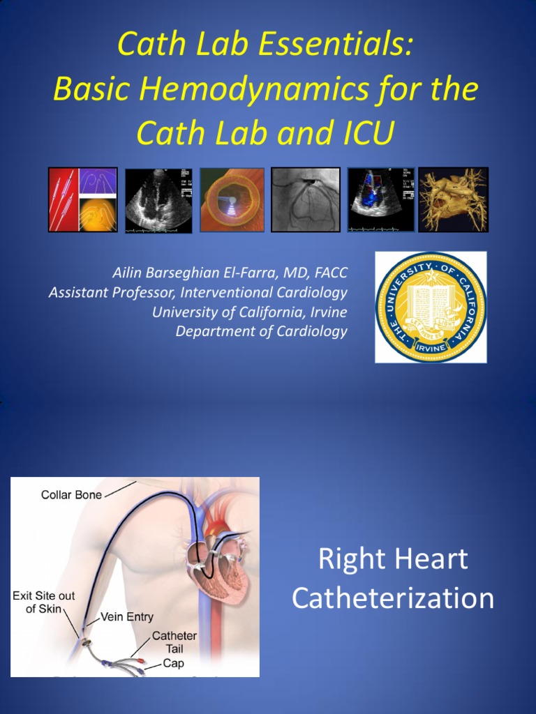 Cath Lab Essentials: Basic Hemodynamics For The Cath Lab and ICU | PDF | Heart | Diastole