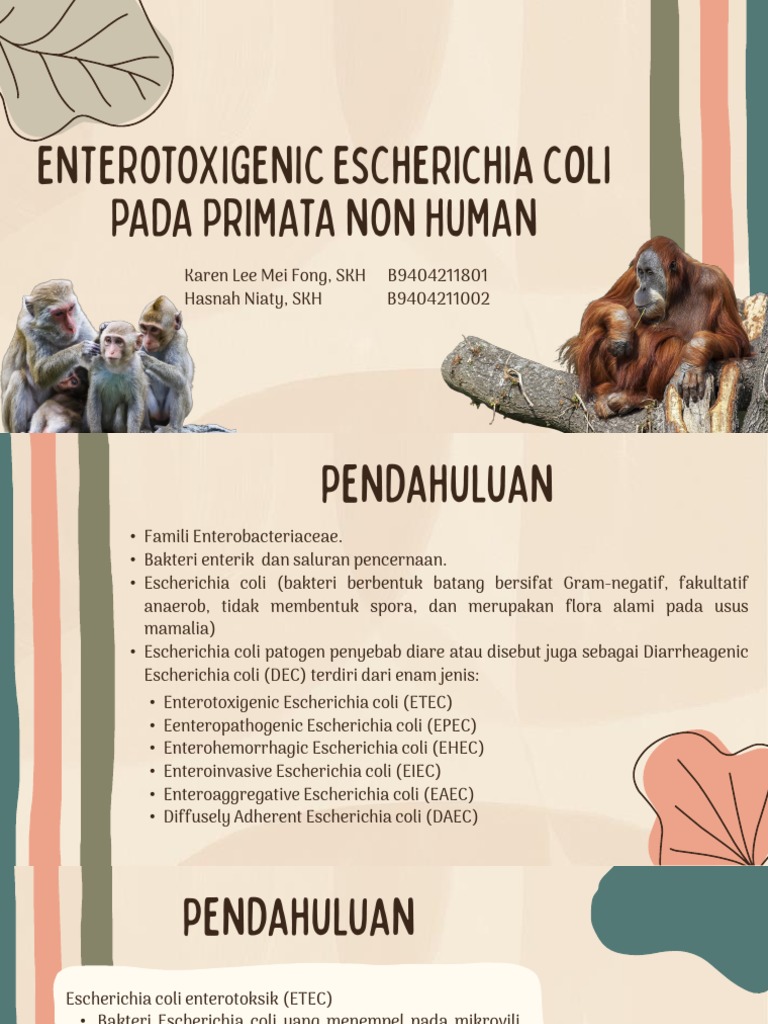 ENTEROTOXIGENIC Escherichia Coli PADA PRIMATA NON HUMAN | PDF