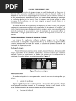 Proyecciones RX de Oído y Mastoides | PDF | Oído | Otología