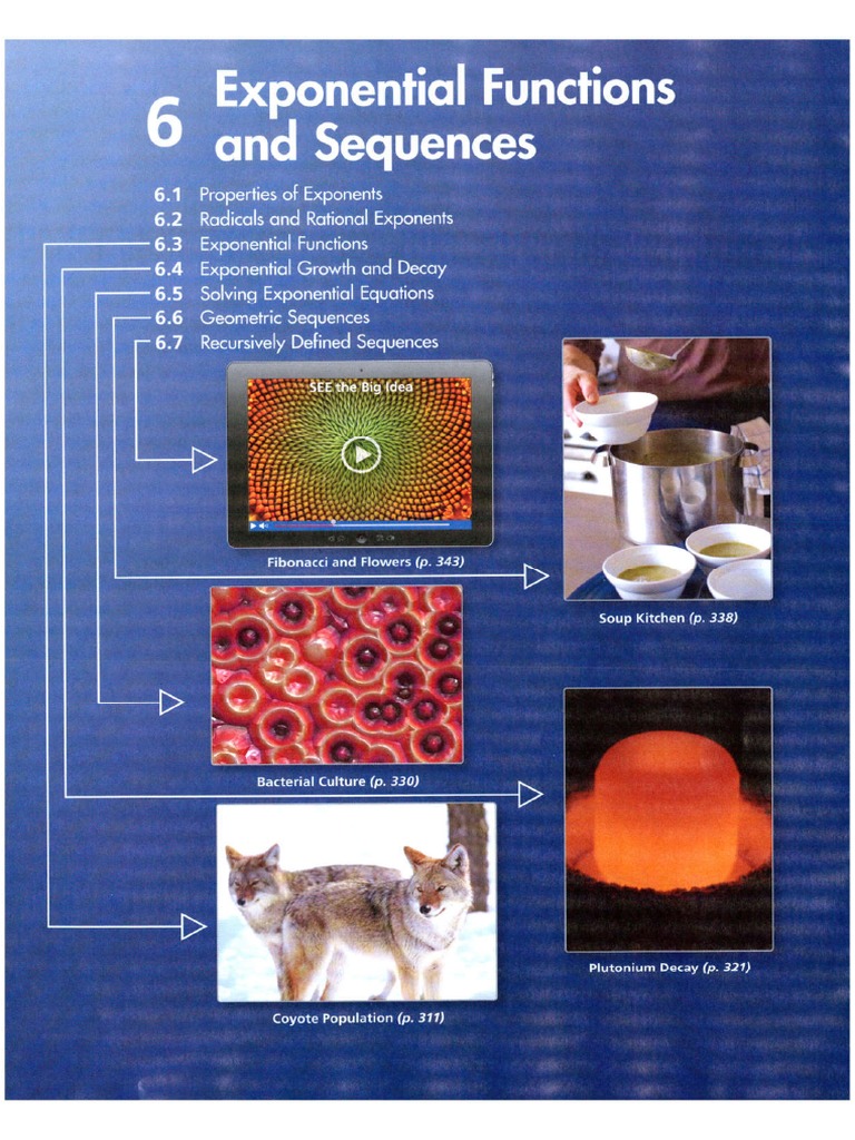 Big Ideas Math HS Algebra 1 A Common Core Curriculum, Student Edition ...