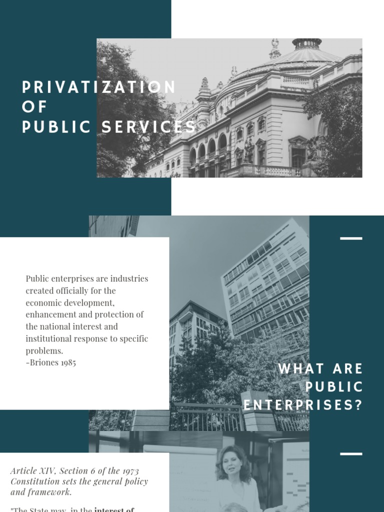 Privatization OF Public Services | PDF | Privatization | Profit (Economics)