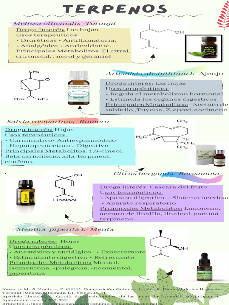 Terpenos Infografia | PDF