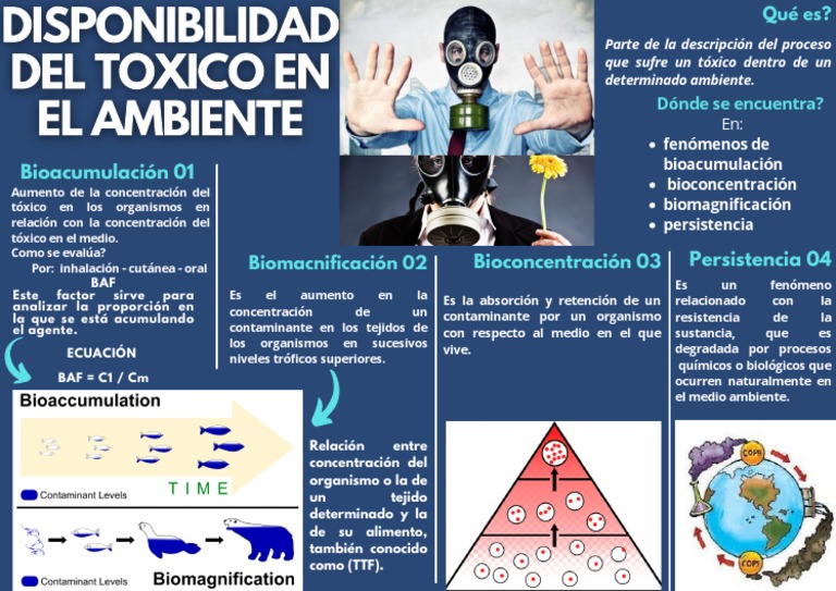 Bioconcentración y Bioacumulación Ambiental | PDF | Tecnología ...