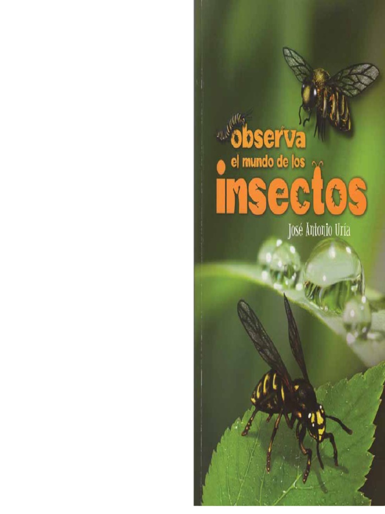 Observa El Mundo de Los Insectos | PDF