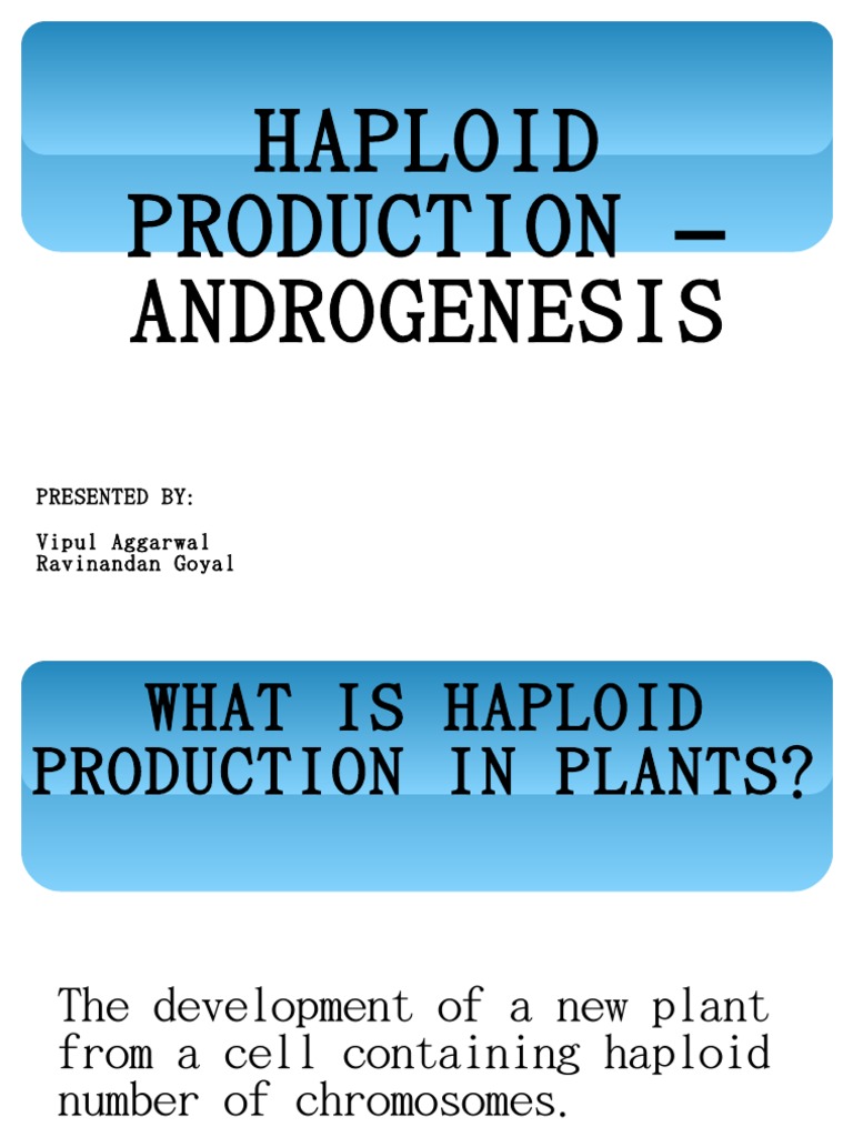 Androgenesis | PDF | Ploidy | Plant Breeding