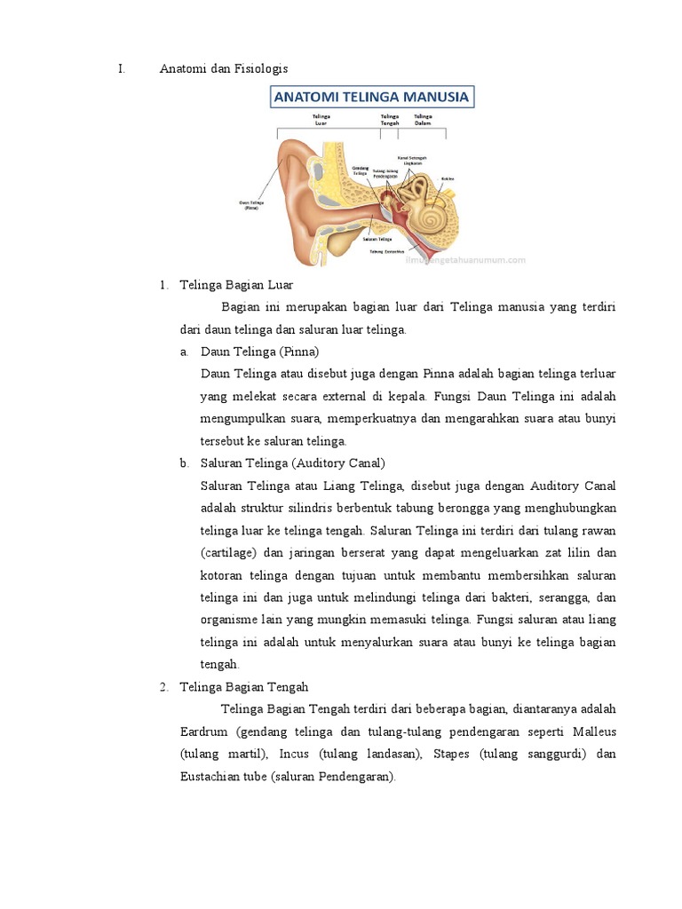Anatomi dan Etiologi Vertigo | PDF | Kajian Bahasa Asing | Sains ...
