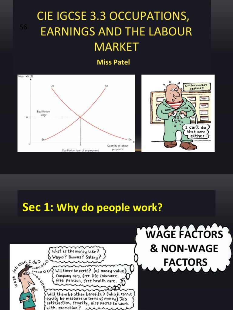 CIE IGCSE Unit 3.3 - Workers - Occupations, Earnings and The Labour ...