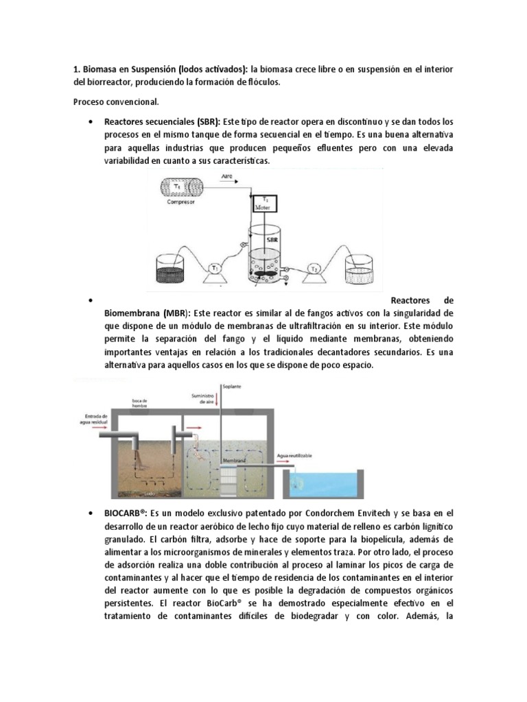 Tipos de Reactores Biologicos | PDF | Aguas residuales | Naturaleza
