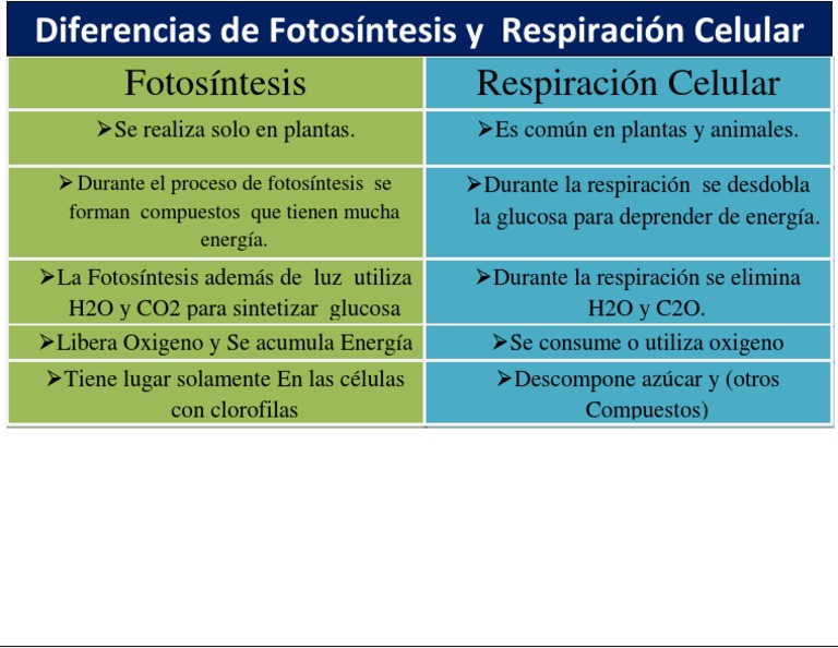 Cuadro Comparativo De Fotosíntesis Y Respiración Celular