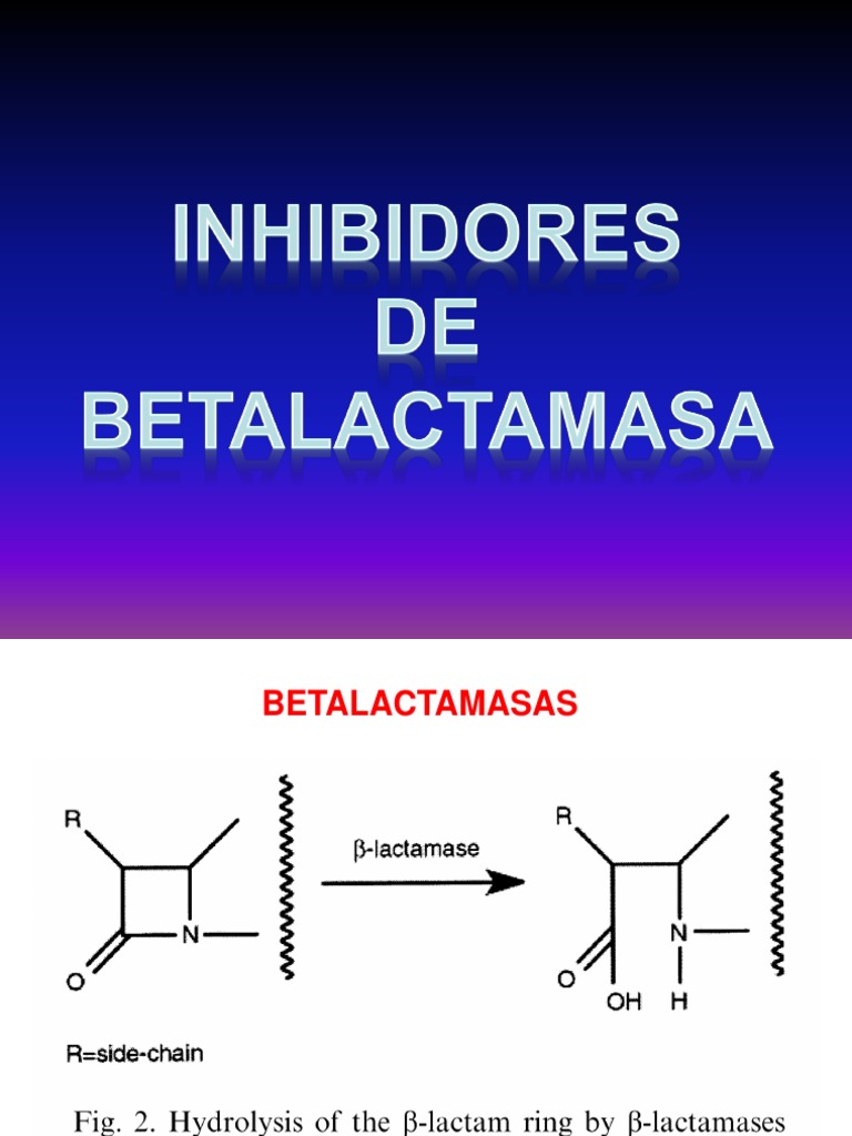 Inhibidores de Betalactamasa y su Uso | PDF | Beta lactamasa | Inmunología