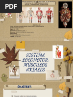 Sistema Muscular de Los Insectos | PDF | Músculo | Insectos