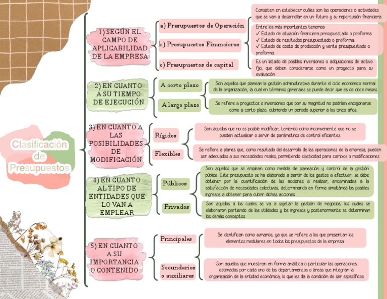 10.-Cuadro Sinóptico de La Clasificación de Los Presupuestos | PDF | Presupuesto | Business