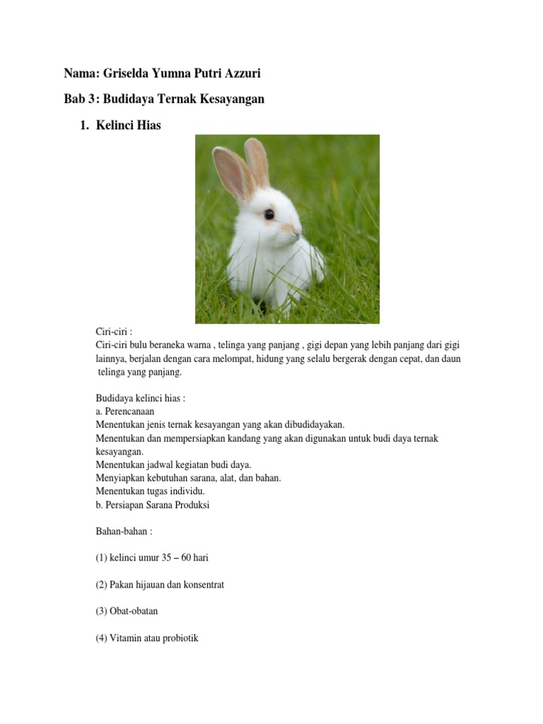 Griselda Yumna | PDF