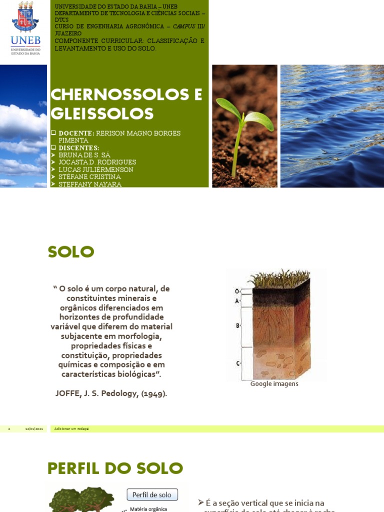 Chernossolos e Gleissolos | PDF | Solo | Minerais