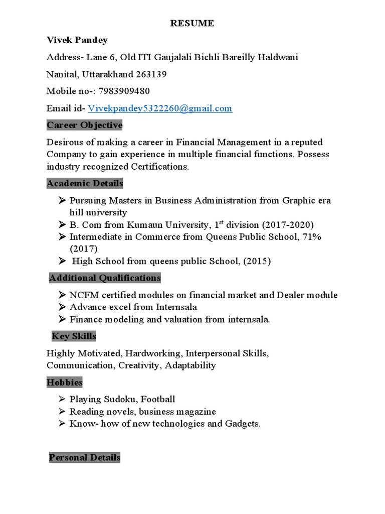 Vivek Resume | PDF