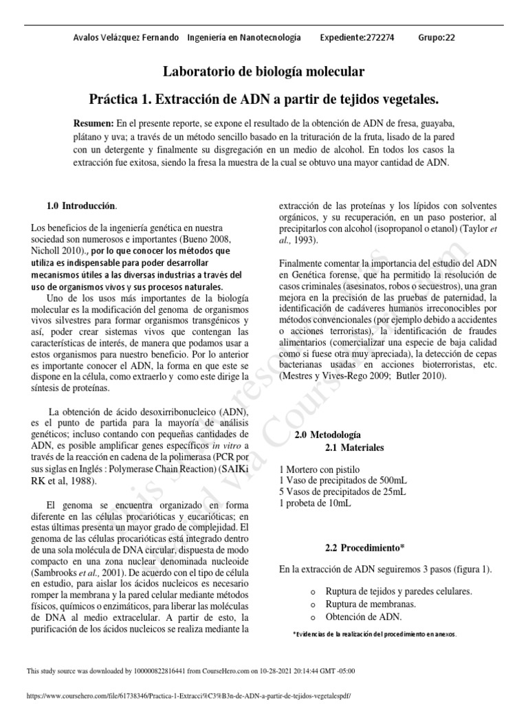 Practica 1 Extracci N de ADN A Partir de Tejidos Vegetales PDF | PDF | Biología Celular) | Adn