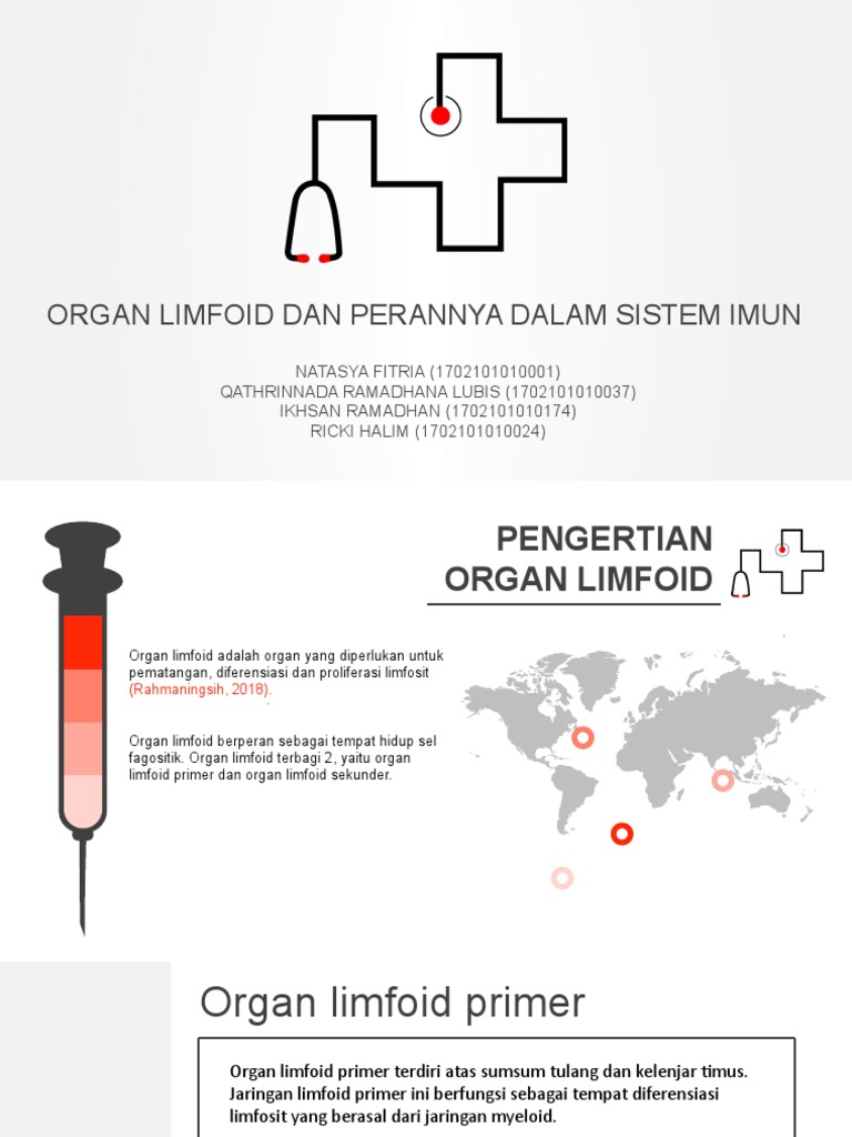 Peran Organ Limfoid dalam Imunisasi | PDF
