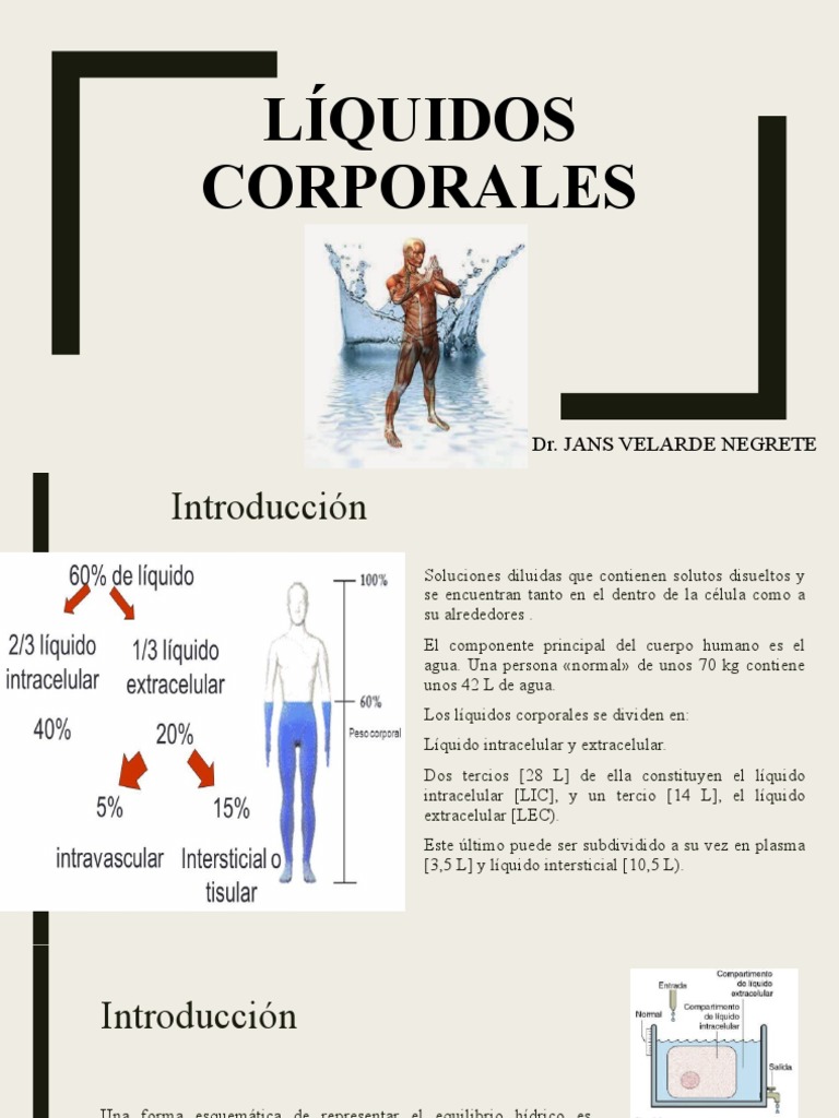 Líquidos Corporales | PDF | Fisiología | Anatomía
