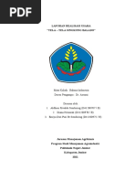 Contoh Book Chapter | PDF